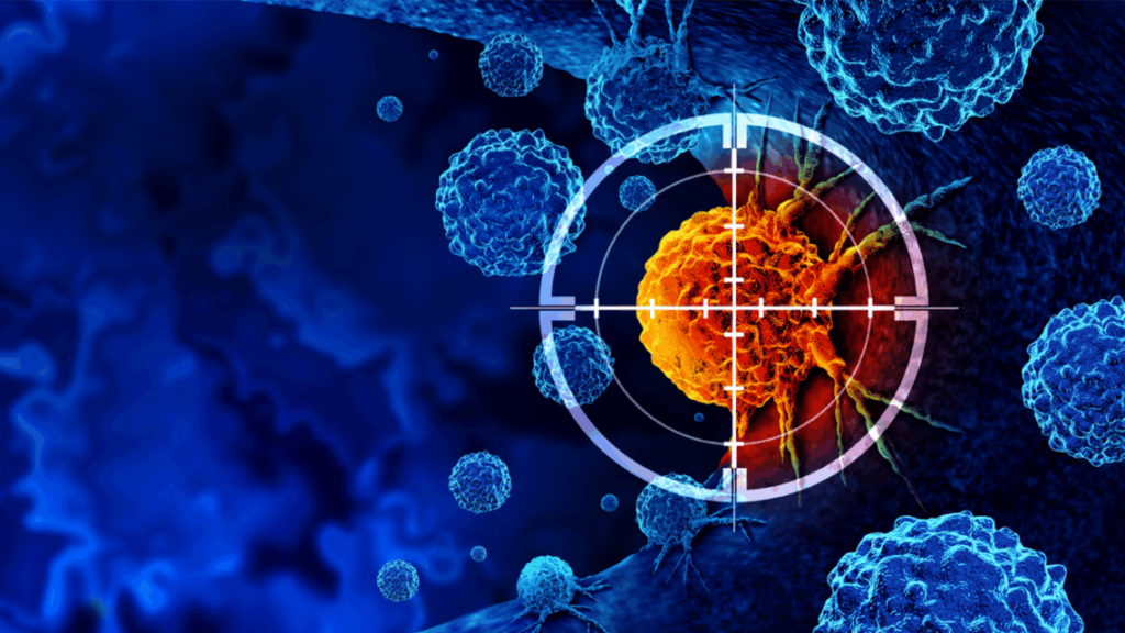 Oncology e | Capital Cell